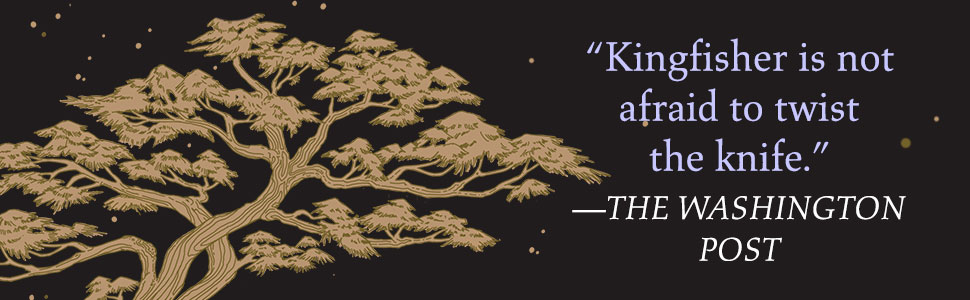 A Sorceress Comes to Call: Kingfisher, T.: 9781250244079: Amazon.com: Books