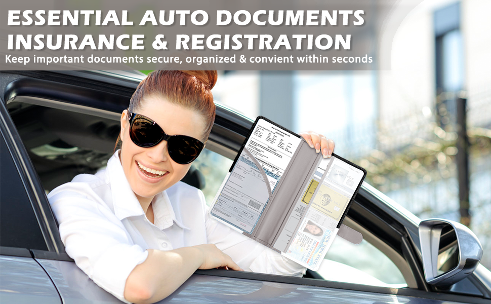 Amazon.com: Vehicle-Glove-Box-Organizer,Car-Registration-and-Insurance ...
