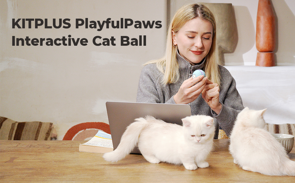 KITPLUS App Interactive Cat Ball Toy, Cat Toys for Indoor Cats, Unique Lighted Cat Toy, USB ...
