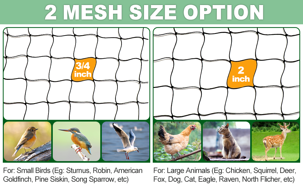 Amazon.com: BSTPCOO Bird Net 25'x50' Bird Netting for Chicken Coop Roof, Nylon 3/4" Mesh Poultry ...