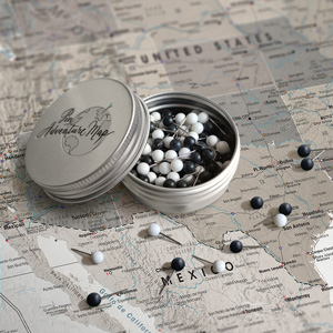 Amazon.com: USA Map Pin Board Poster | US Pin Map for travellers ...