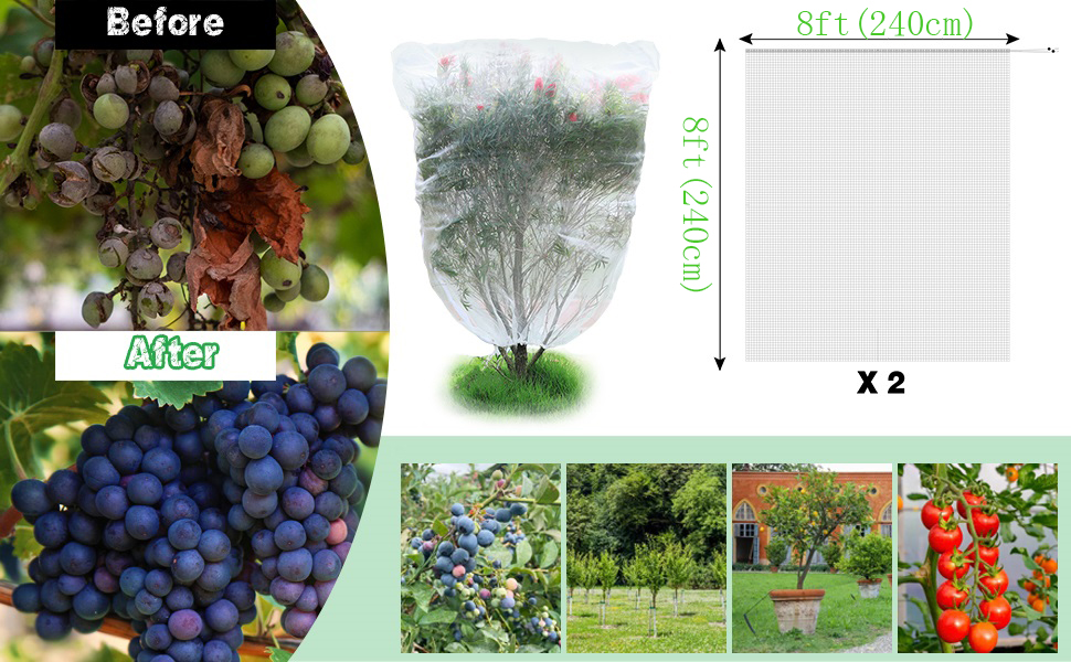 Amazon.com : 2 Packs 8 x 8 ft Fruit Tree Netting Cover with Zipper and Drawstring, Garden Mesh ...