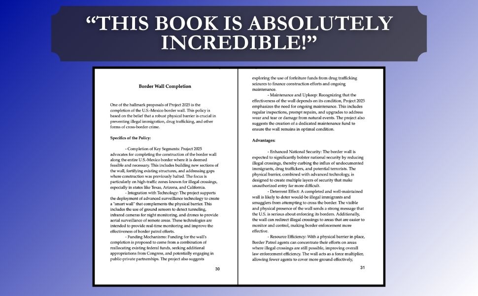 Project 2025 Explained: A Full Non-partisan Summary Made Clear: Solace, James: 9798335605700 ...