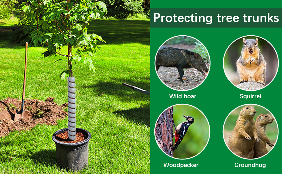 Amazon.com : Watayo 4 PCS Tree Trunk Protector- 2 Size Plastic Spiral ...