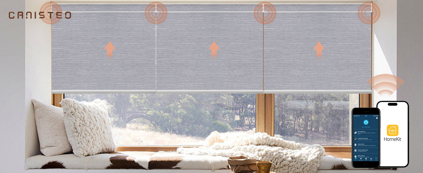 Amazon.com: Motorized Blinds Roller Shade with Remote: Canisteo Automatic Smart Blind for ...