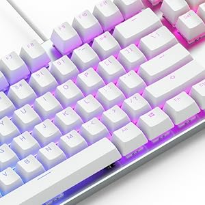 Glorious Custom Gaming Keyboard - GMMK 100% Percent Full Size - USB Wired Mechanical Keyboard ...