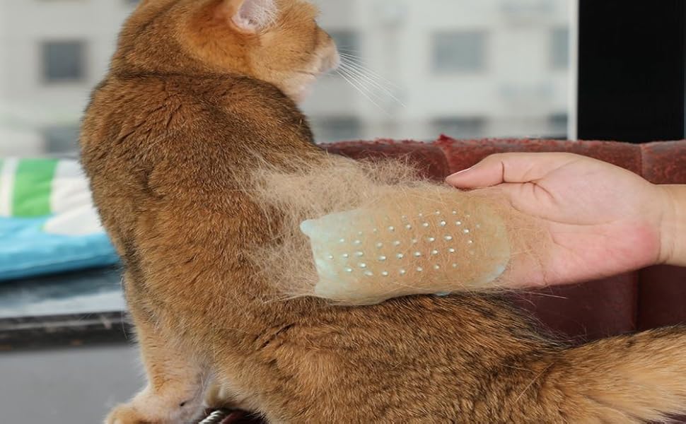 Amazon.com : poutedy Pet Cat Dog Tickling Artifact， Hair Cleaning Scratching Brush Cats Dogs ...