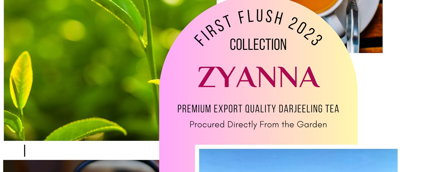 ZYANNA Darjeeling Tea First Flush 2023 First-Cut Ftgfop1 Clonal (100Gm- 50Cups) Limited Stock ...