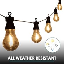 NOMA Traditional Festoon Lights with Black Cable, 20 White Bulbs : Amazon.co.uk: Lighting