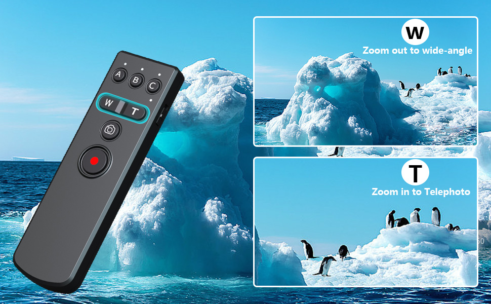 Amazon.com : Camera Wireless Shutter Remote Control - for Canon Sony Nikon Cameras and ...