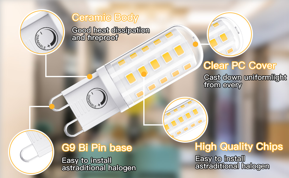 Sapiential Creation Bulb - Amazon.com