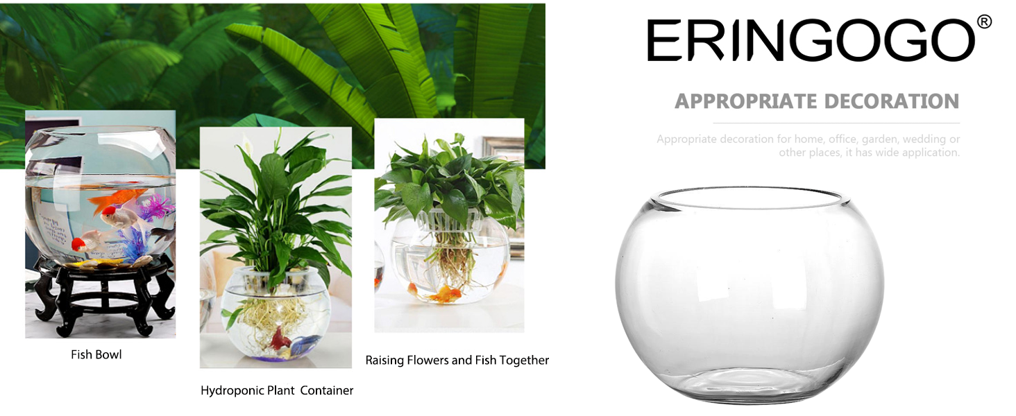 Amazon.com : ERINGOGO Glass Vase Round Glass Fish Bowl, Clear Fish Tank Aquarium Bowl for Betta ...