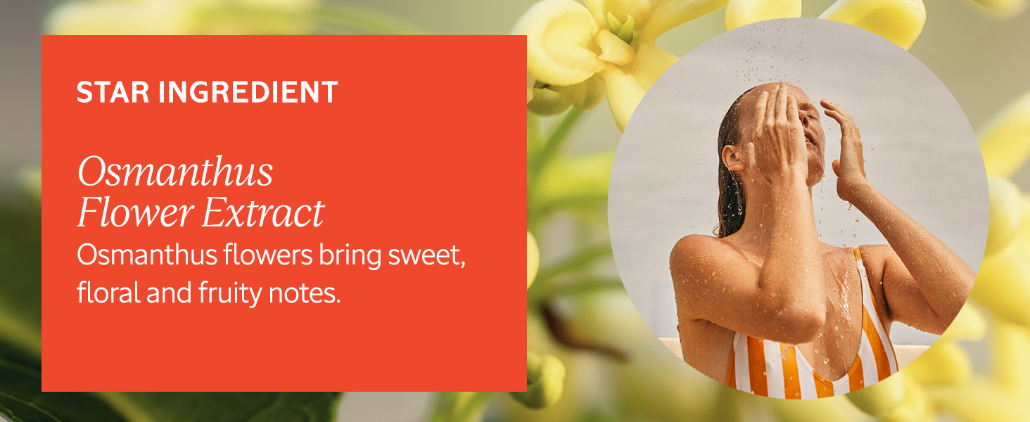 Amazon.com: L'OCCITANE Osmanthus Shower Gel 8.40 fl. oz : Beauty & Personal Care