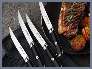 Amazon.com: HAUSHOF Steak Knives Set of 4, German Stainless Steel Premium Serrated Steak Knife ...