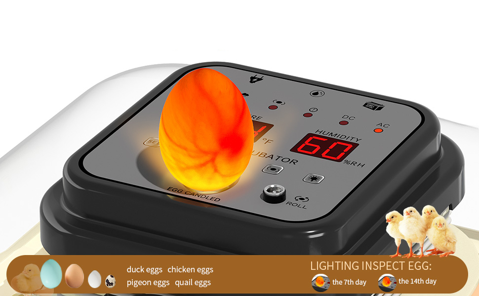 Amazon.com: Chalixion Incubators for Hatching Eggs, Egg Incubator with Automatic Egg Turner and ...