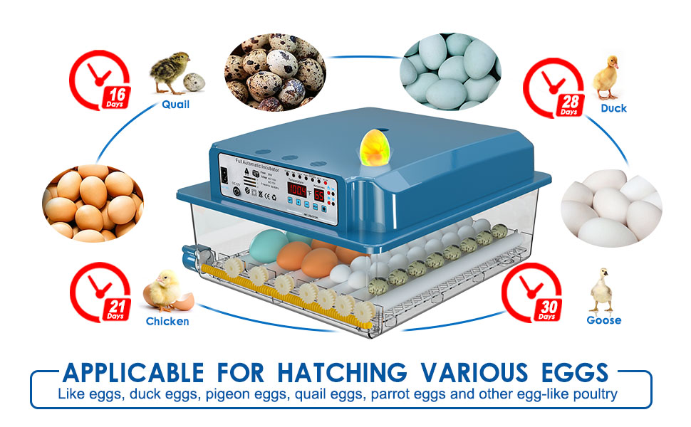 Amazon.com: Vevitts 36 Eggs Incubators for Hatching Egg Fahrenheit with Automatic Turner ...