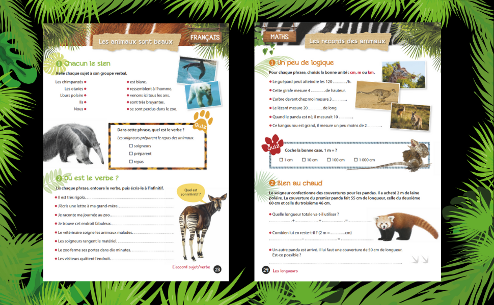 Amazon.fr - Mon cahier de vacances UNE SAISON AU ZOO CP-CE1 - Meyer, Aurore - Livres