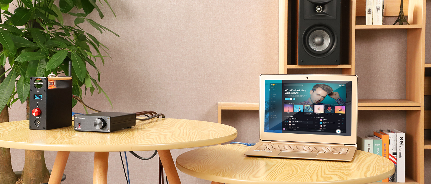 AIYIMA T8 6N3 Digital Tube Preamplifier QCC3031 Bluetooth 5.0 Vacuum Tube Preamp USB DAC ...