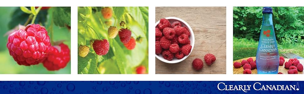 Amazon.com : Clearly Canadian Country Raspberry Sparkling Spring Water Beverage, Natural ...