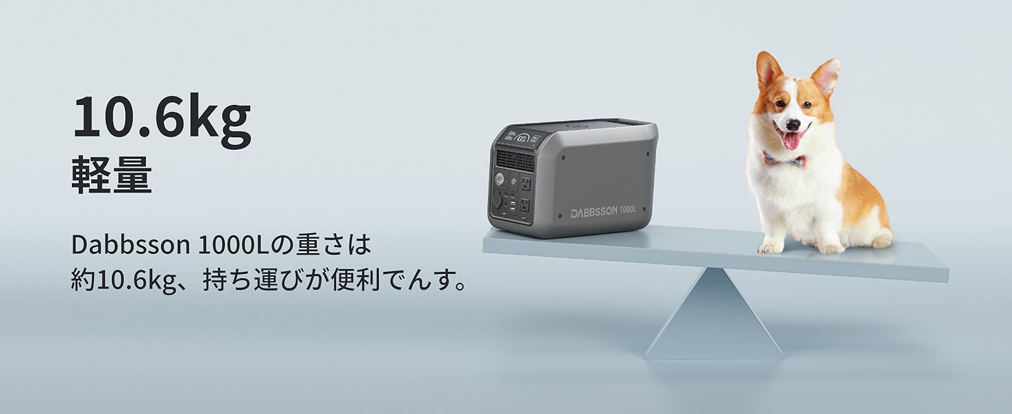 Amazon.co.jp: Dabbsson 1000L ポータブル電源と420W ソーラーパネル セット 1008Wh 半固体リン酸鉄リチウムポータブル電源 50分で80%急速充電 高出力 ...