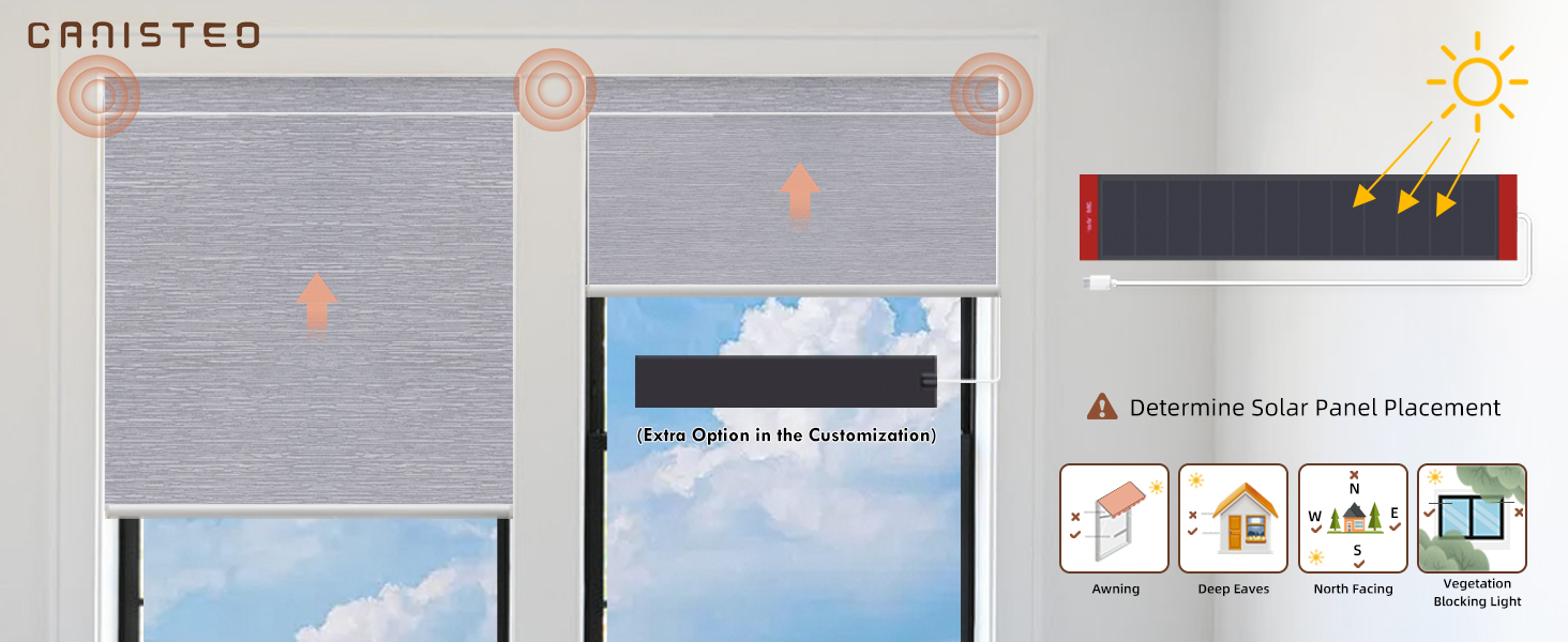 Amazon.com: Motorized Blinds Roller Shade with Remote: Canisteo Automatic Smart Blind for ...