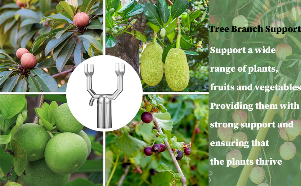 Amazon.com : GANAZONO 6pcs Tree Branch Support Metal Brackets Tree ...