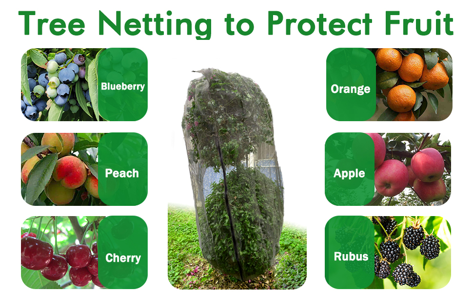 Amazon.com : BiirBlue 2 Pack 8x8 Ft Large Fruit Tree Netting, Netting ...