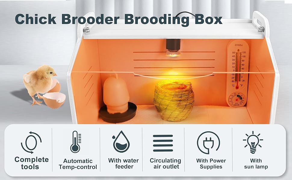 Amazon.com: Chick Brooder Brooding Box for Chicks/Parrot/Duckling/Kittens/Puppies, with Heating ...
