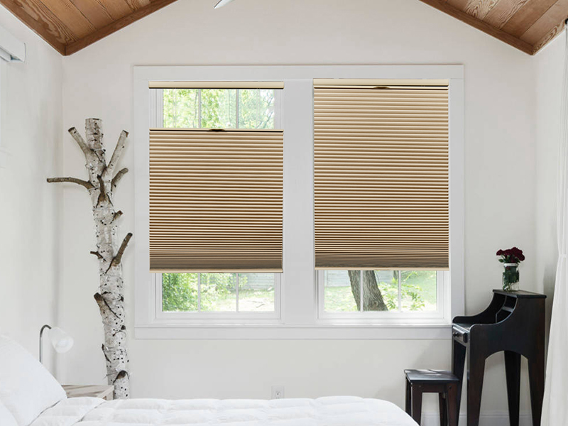 Amazon.com: Persilux Custom Size Top Down Bottom Up Blackout Blinds for Windows Cellular ...