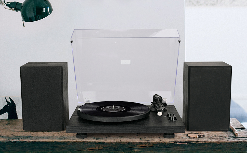 Amazon.com: Vinyl Record Player Turntable with Speakers (36W) Wireless ...