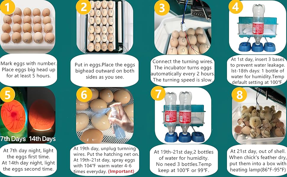 Amazon.com: Merendetee Egg Automatic Incubator 24-60 Eggs Automatic Intelligent Incubators for ...