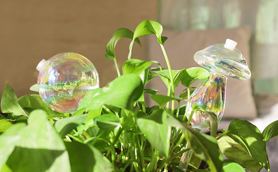 Amazon.com: KiKiHeim Plant Watering Globes Top Fill Self Watering Planter Insert, Automatic ...