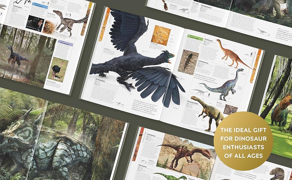 Dinosaurs and Prehistoric Life: The Definitive Visual Guide to Prehistoric Animals (DK ...