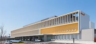 Amazon.co.jp: 【 公式 】 キッコーマン クランベリー UR100 500ml×10本 クランベリージュース 果汁 100％ 紙パック キャップ付き : ドラッグストア