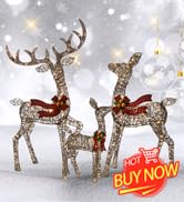 Amazon.com: Outdoor Christmas Decorations Deer Family - HOYECHI 3-Piece Lighted Prismatic ...