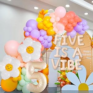 Amazon.com: JeVenis Five is a Vibe Birthday Decorations 5th Birthday Decorations Groovy Daisy ...