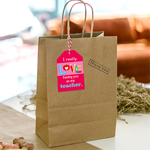 Amazon.com: Thank You Teachers Tags with String Gifts Hanging Tag ...