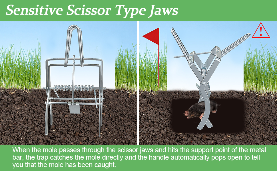 Amazon.com : 4 Pack Plunger Mole Traps That Kill Best, Easy to Set Mole Trap, Reusable ...