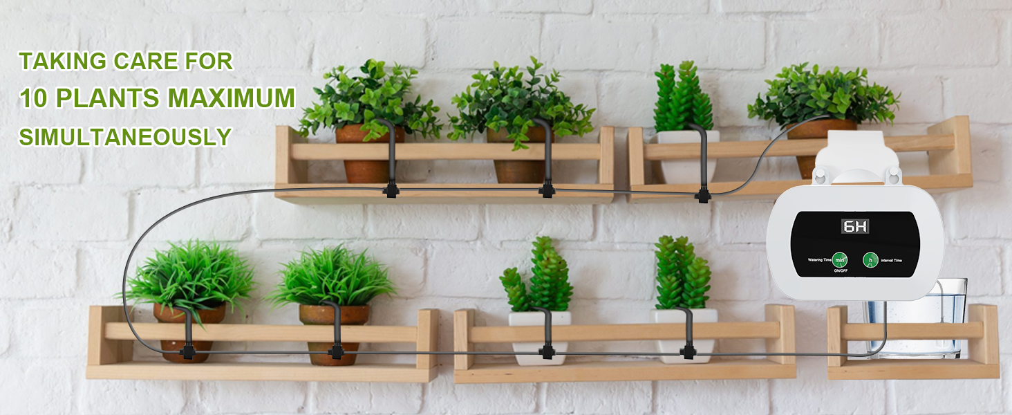 Amazon.com : ZWJBSGY Automatic Watering System for Plants, Automatic ...