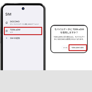 Amazon.co.jp: 世界周遊 eSIM | 10日間5GB | QRコード 当日発行可 メール登録で即納品即利用可 | 北南米 アジア 欧州 中近東 欧州 オセアニア カリブ アフリカ ...