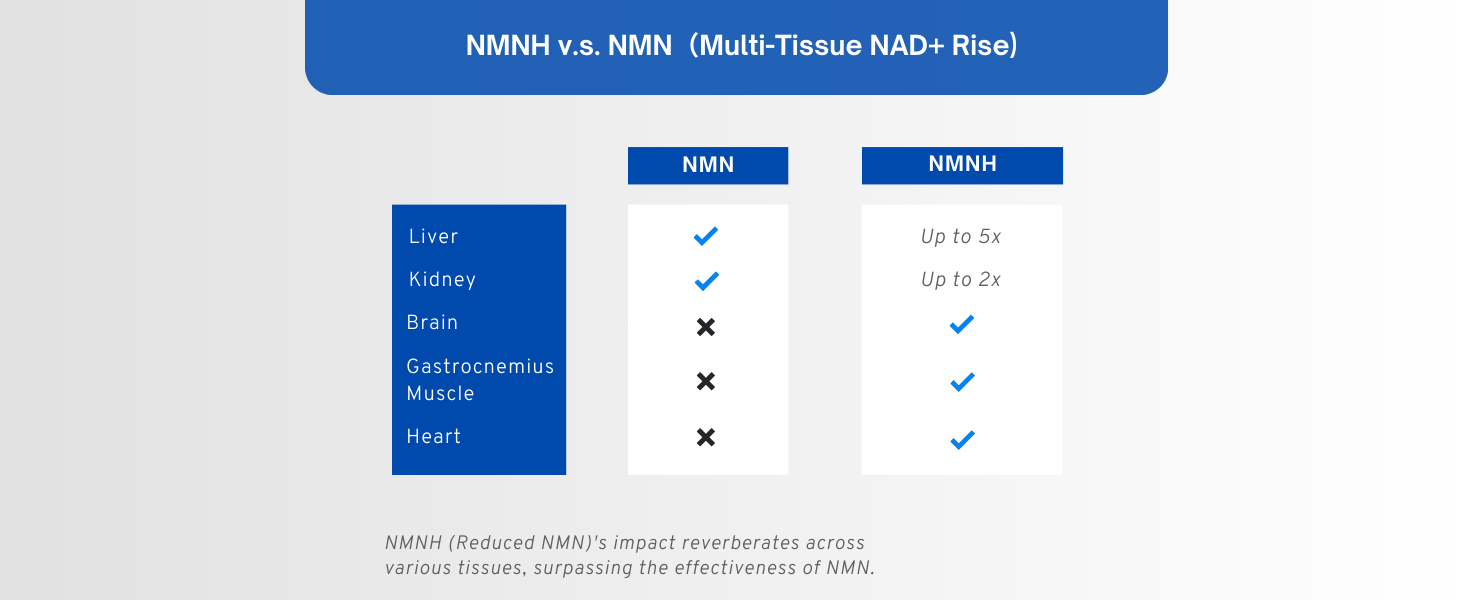 Amazon.com: VINATURA NMNH (NMN Supplement Alternative) Nicotinamide Riboside & TMG - NAD ...