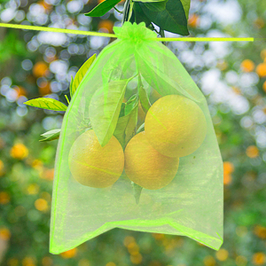 Amazon.com : Fruit Protection Bags, RIFNY 100 Pcs 6 x 8 Inch Green Mesh Fruit Netting Bag for ...