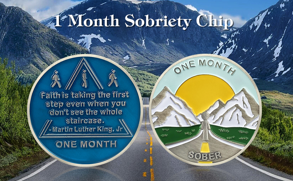 Amazon.com : 1 Month Sobriety Coin AA Chips and Medallions One Month ...