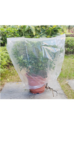 Amazon.com : 8.2x8.2ft Large Tree Netting for Fruit Trees Keep Birds Squirrels Cicadas and Small ...