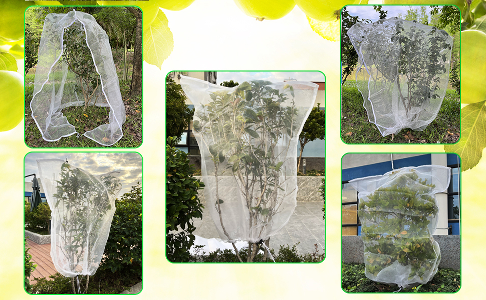 Amazon.com : BKDMZZMY Garden Netting with Drawstring and Zipper, 5.9x6.6FT Fruit Tree Netting ...
