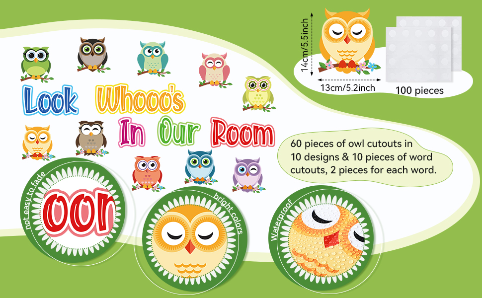 Amazon.com : TaoBary 70 Pcs Owl Bulletin Board Decorations Set Owl ...
