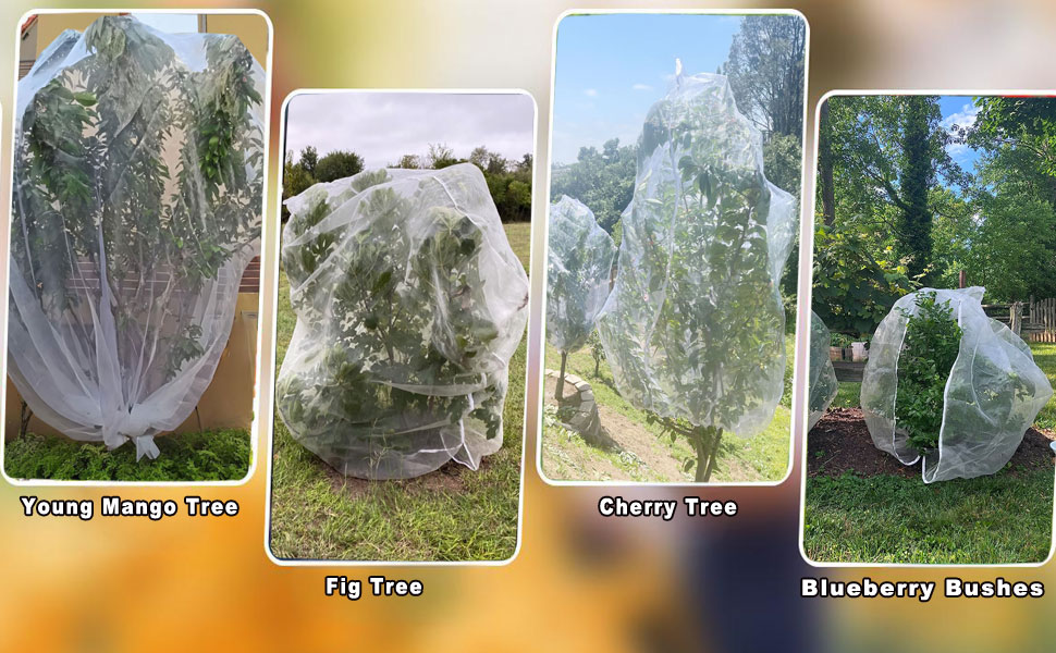 Amazon.com : 8.2x8.2ft Large Tree Netting for Fruit Trees Keep Birds Squirrels Cicadas and Small ...