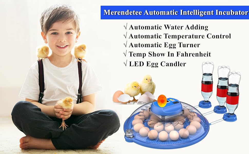 Amazon.com: Merendetee 26-52 Eggs Automatic Egg Incubator, Incubators for Hatching Eggs ...