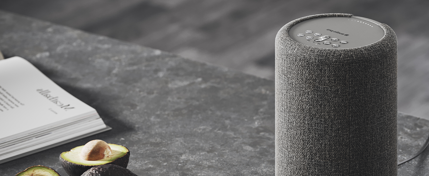 Amazon.com: Audio Pro A10 MKII Wireless Multiroom Speaker | Wall Mountable, High Fidelity ...