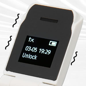 Dpofirs Flip Phone, Seniorenhandy ohne Vertrag, Klapphandy Mobiltelefon mit Großen Tasten, 2G ...